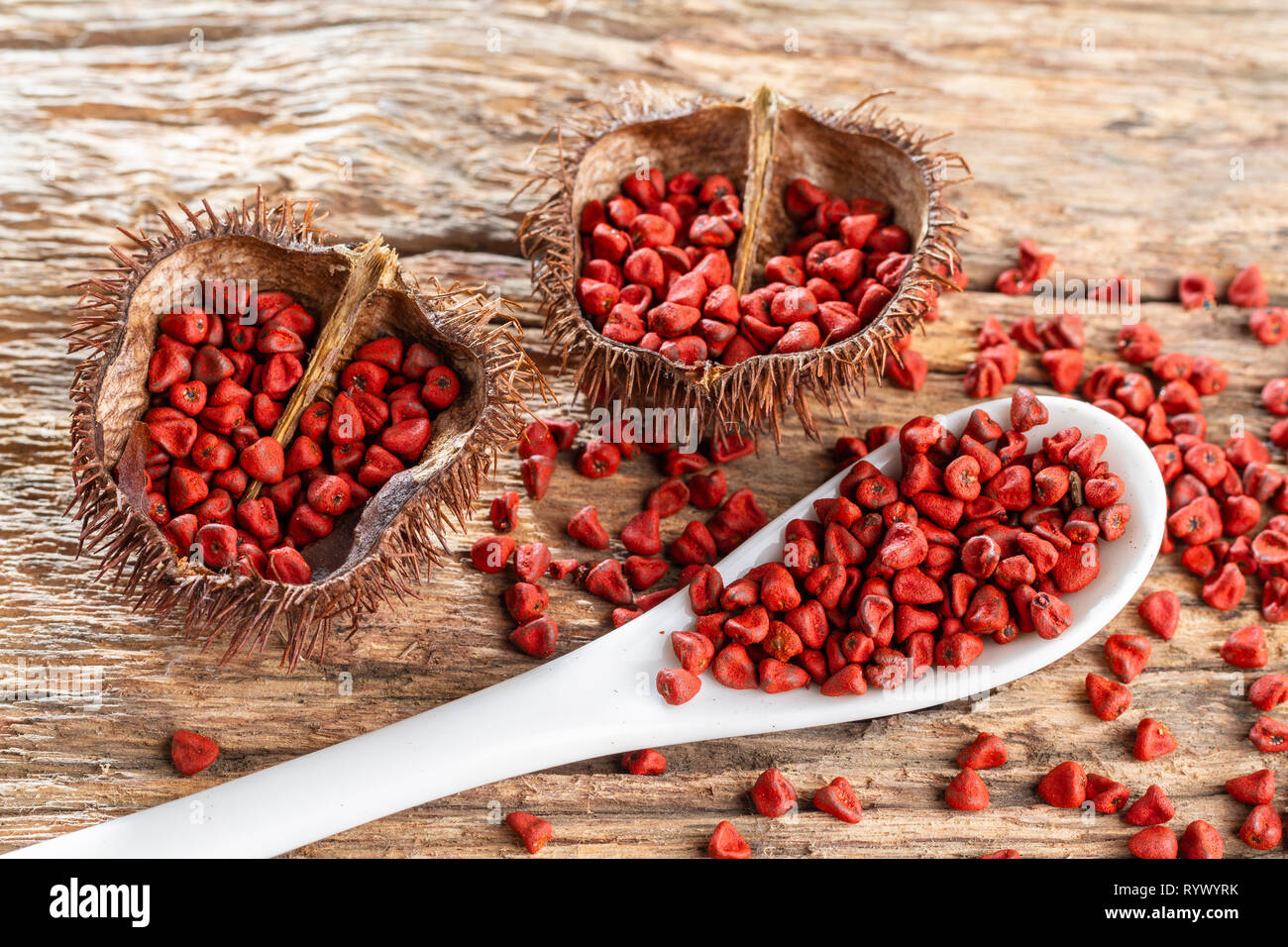 Seeds of achiote, originating from central america and parts of south ...