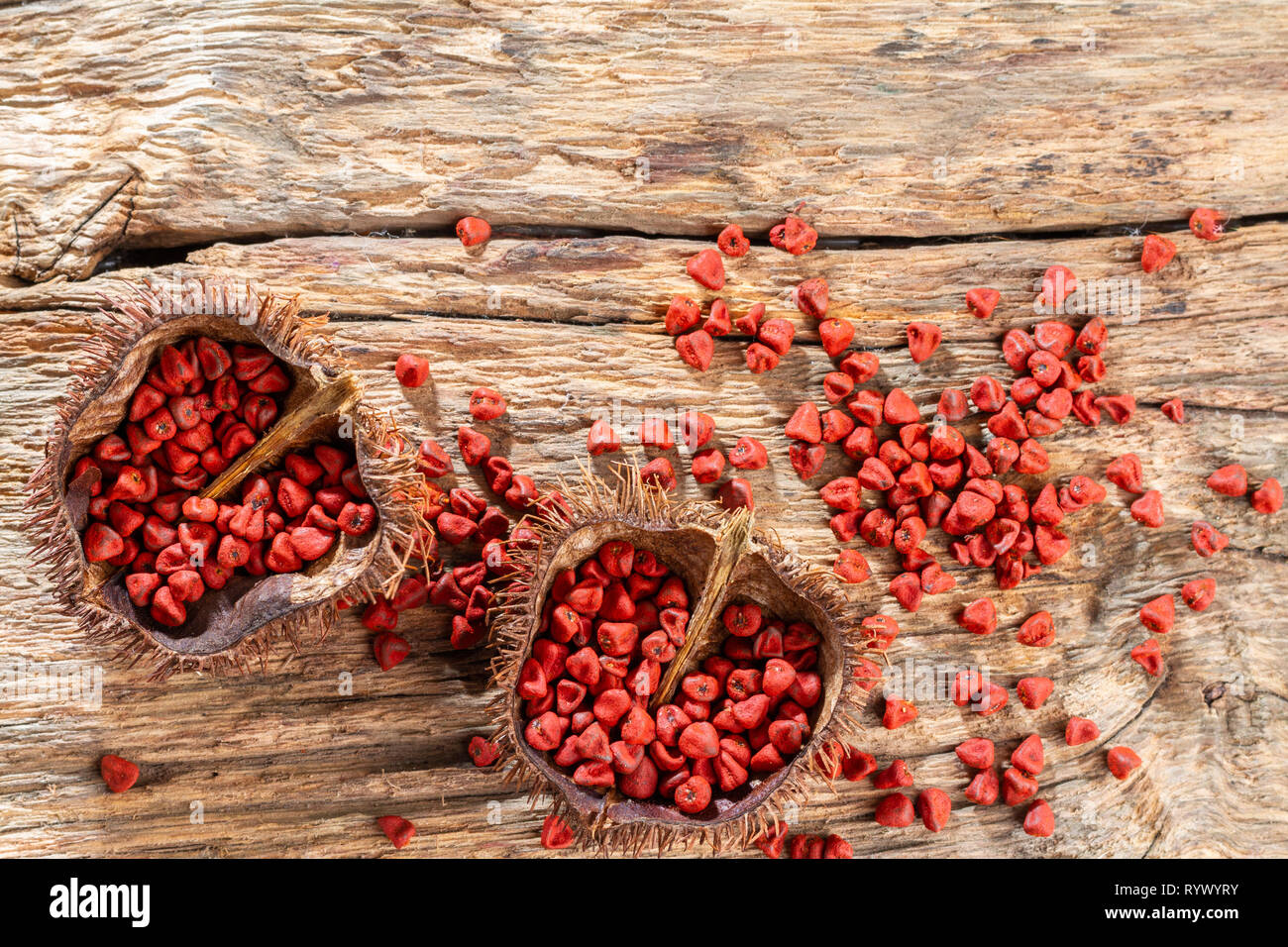 Seeds of achiote, originating from central america and parts of south ...