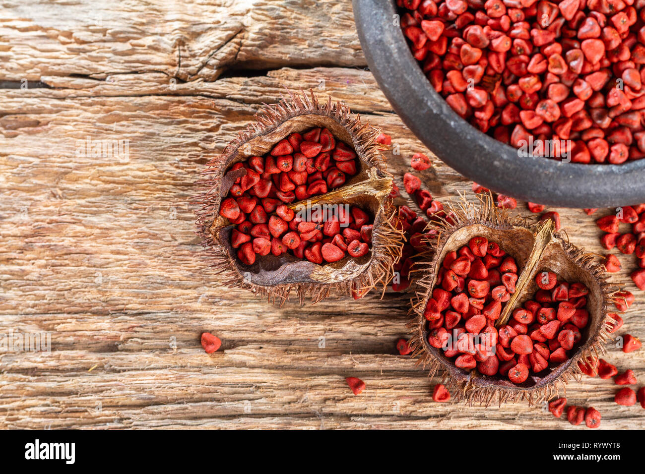 Seeds of achiote, originating from central america and parts of south ...
