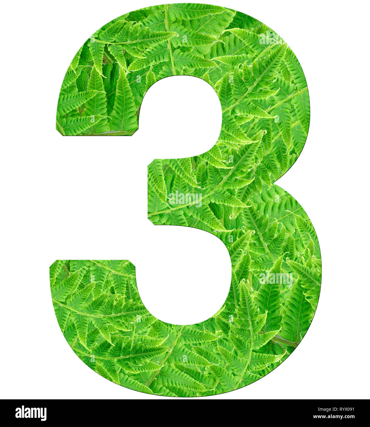 number 3 with fern texture, isolated on white background, font ...