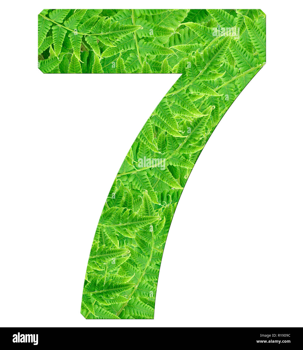 number 7 with fern texture, isolated on white background, font ...