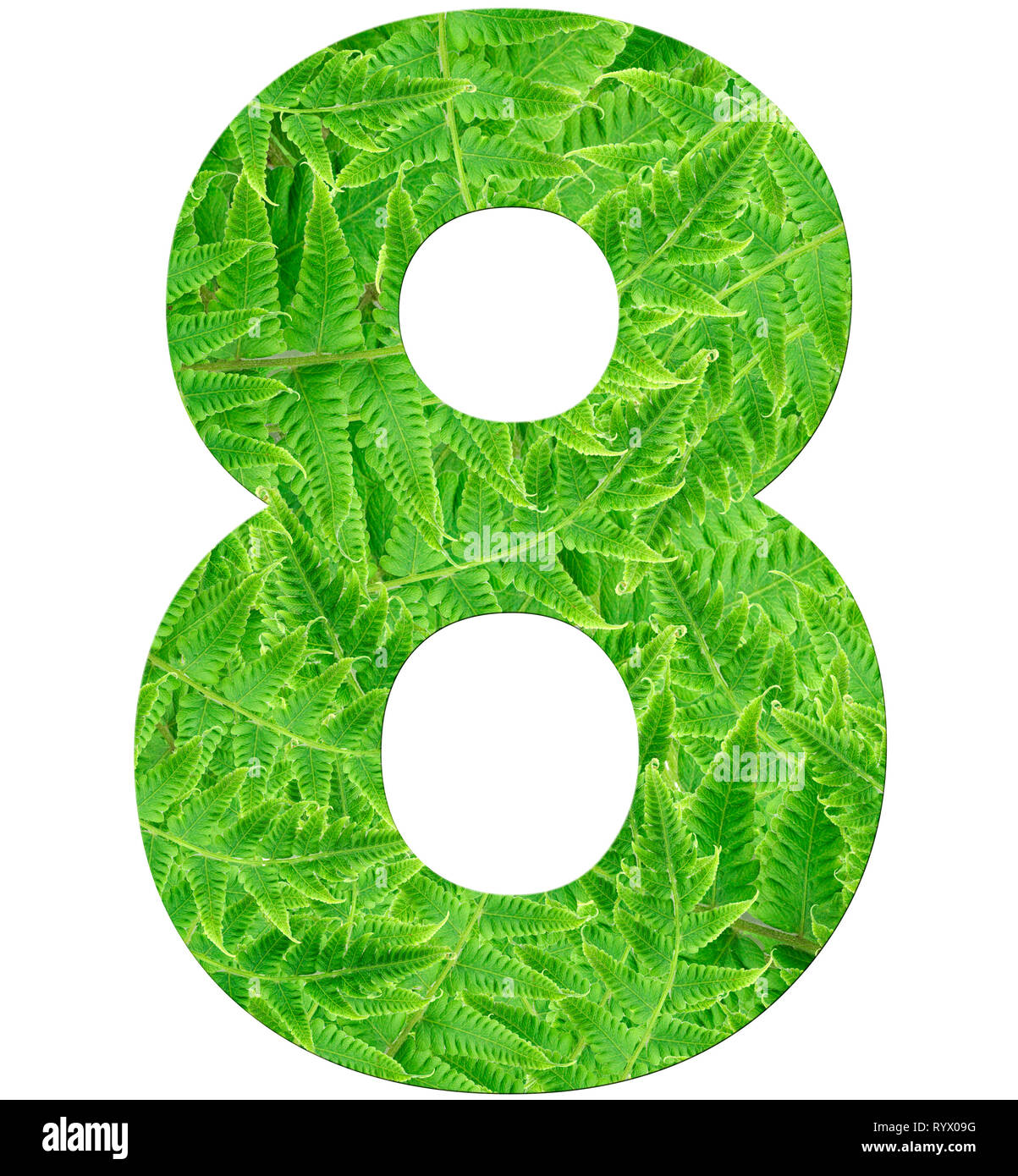 number 8 with fern texture, isolated on white background, font ...