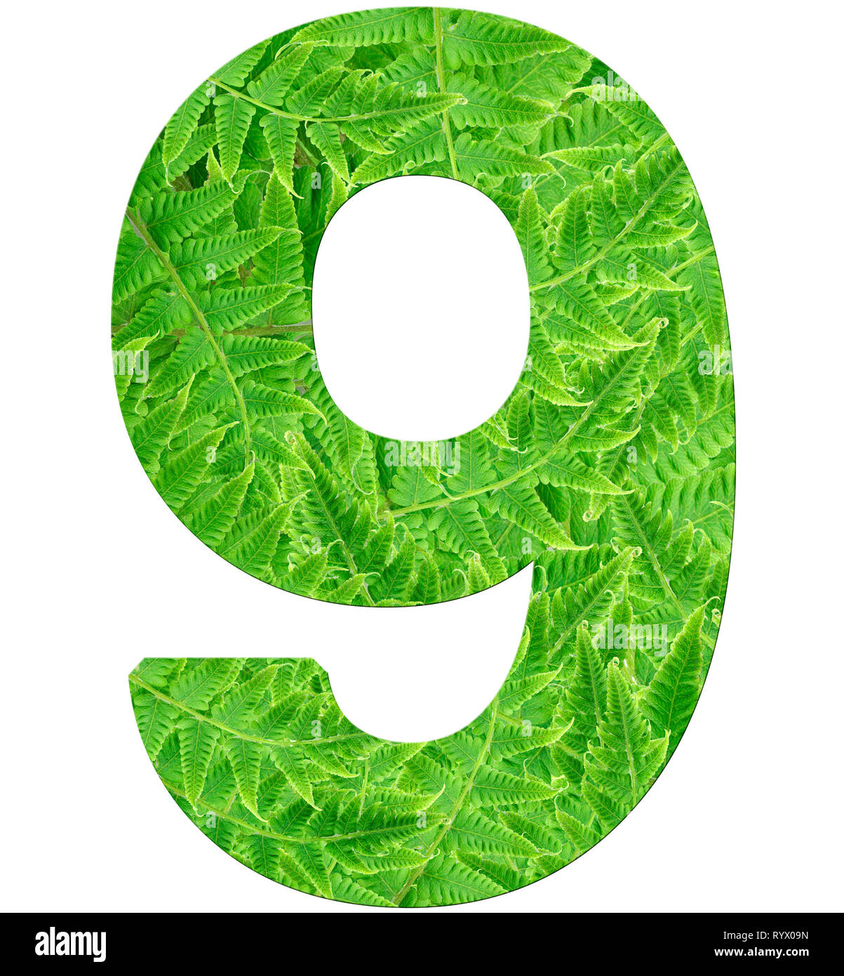 number 9 with fern texture, isolated on white background, font ...