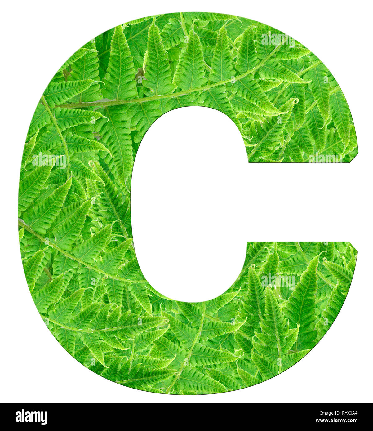 letter c with texture of fern leaves, font Helvetica Word, bold Stock ...