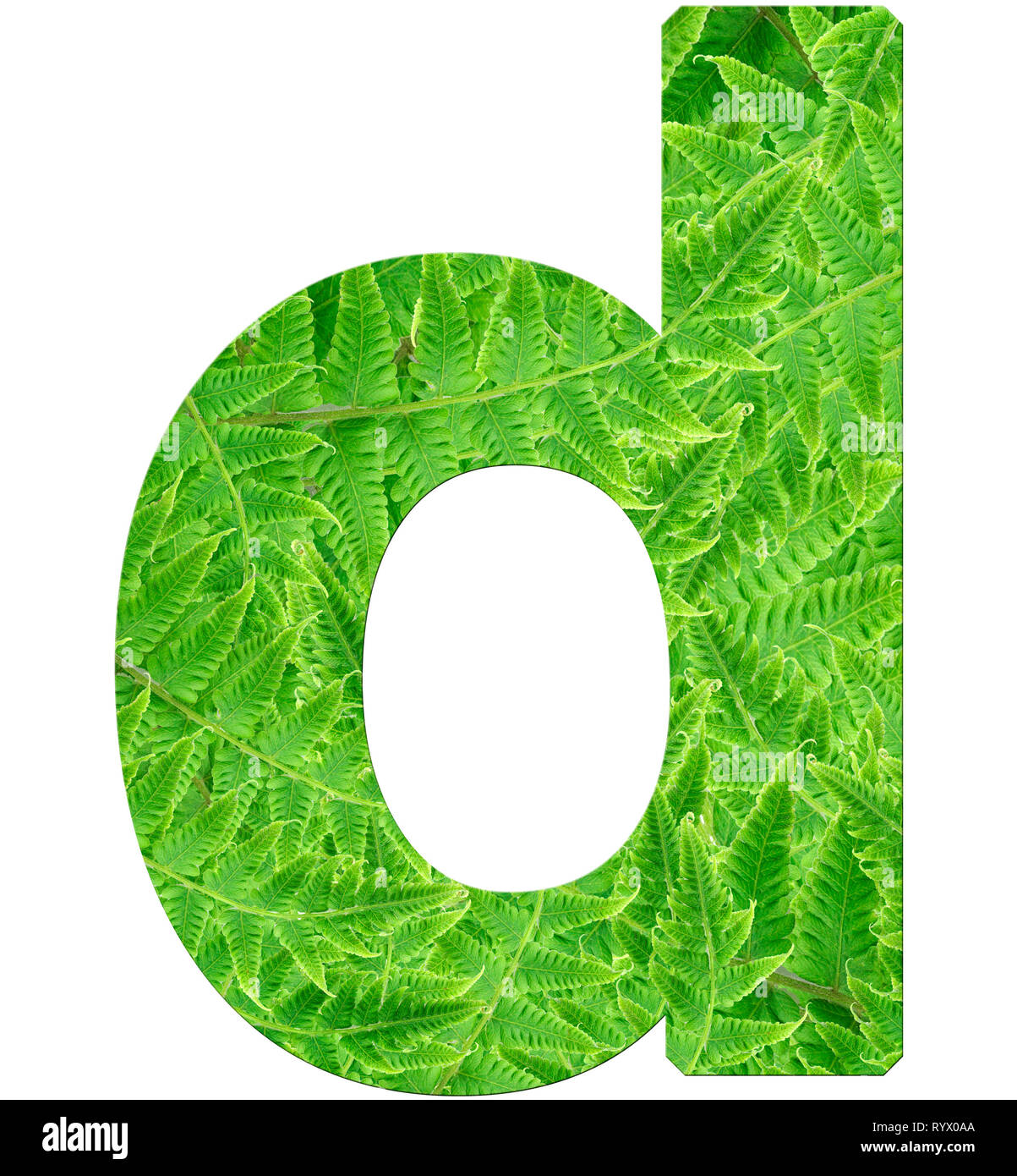 letter d with texture of fern leaves, font Helvetica Word, bold Stock ...