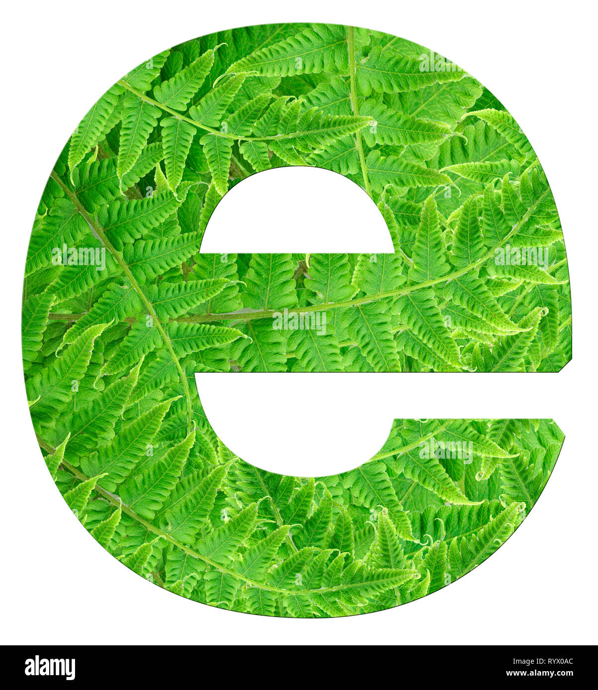 letter e with texture of fern leaves, font Helvetica Word, bold Stock ...