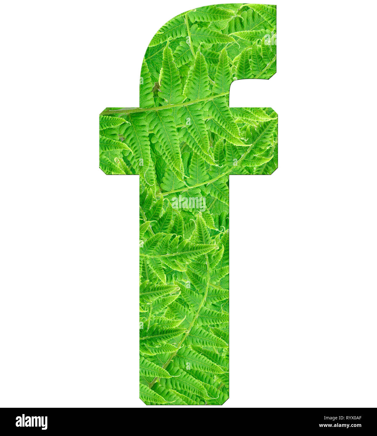 letter f with texture of fern leaves, font Helvetica Word, bold Stock ...