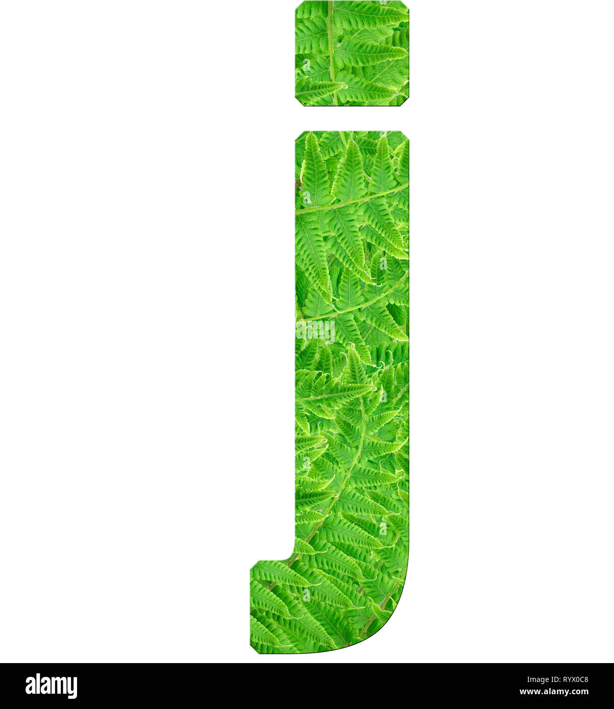 letter j with texture of fern leaves, font Helvetica Word, bold Stock ...