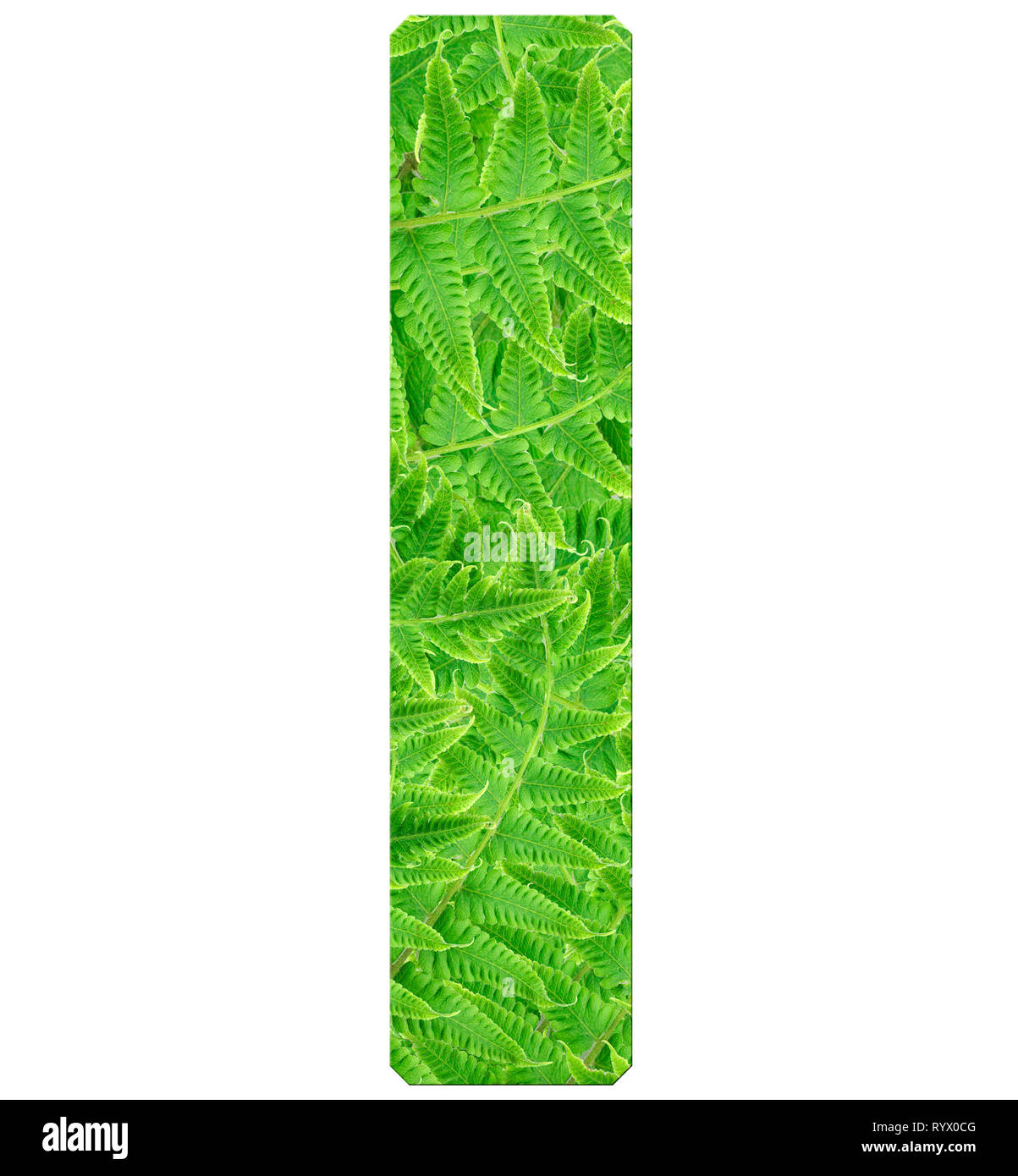 letter l with texture of fern leaves, font Helvetica Word, bold Stock ...