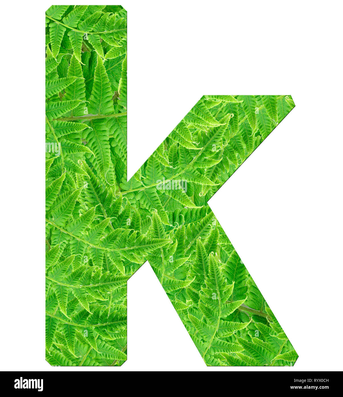 letter k with texture of fern leaves, font Helvetica Word, bold Stock ...