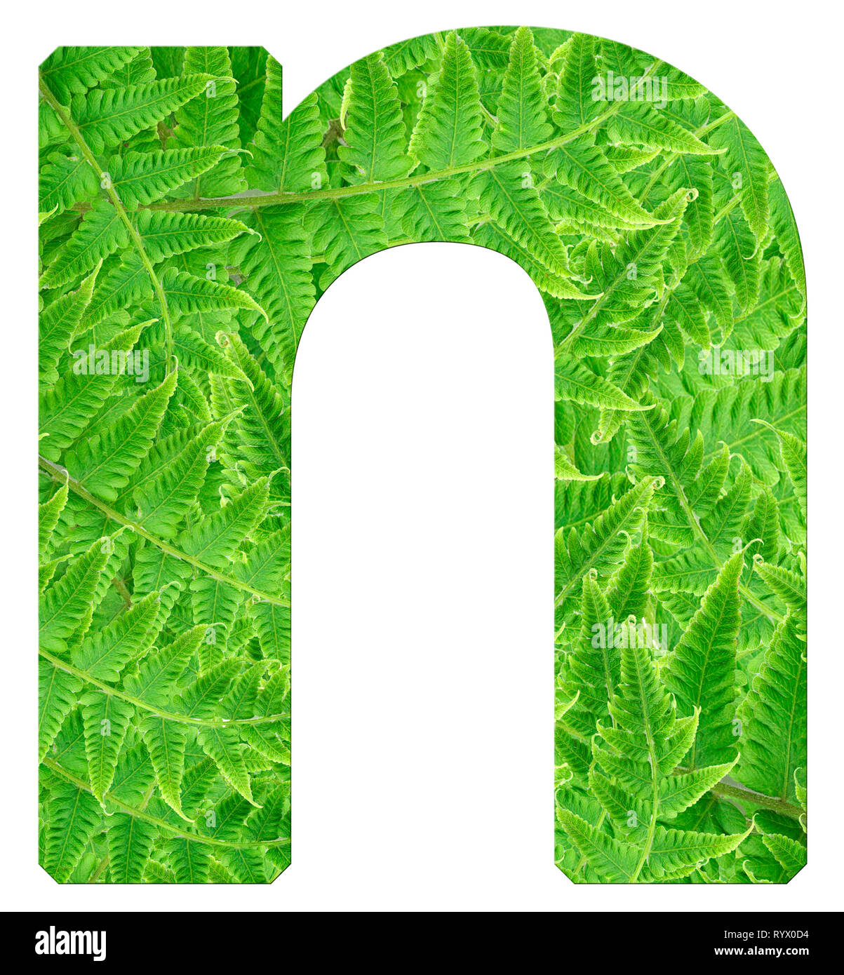 letter n with texture of fern leaves, font Helvetica Word, bold Stock ...