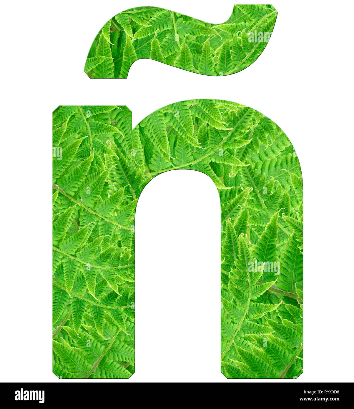 letter ñ with texture of fern leaves, font Helvetica Word, bold Stock ...