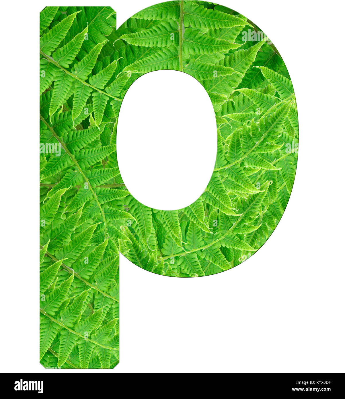 letter p with texture of fern leaves, font Helvetica Word, bold Stock ...