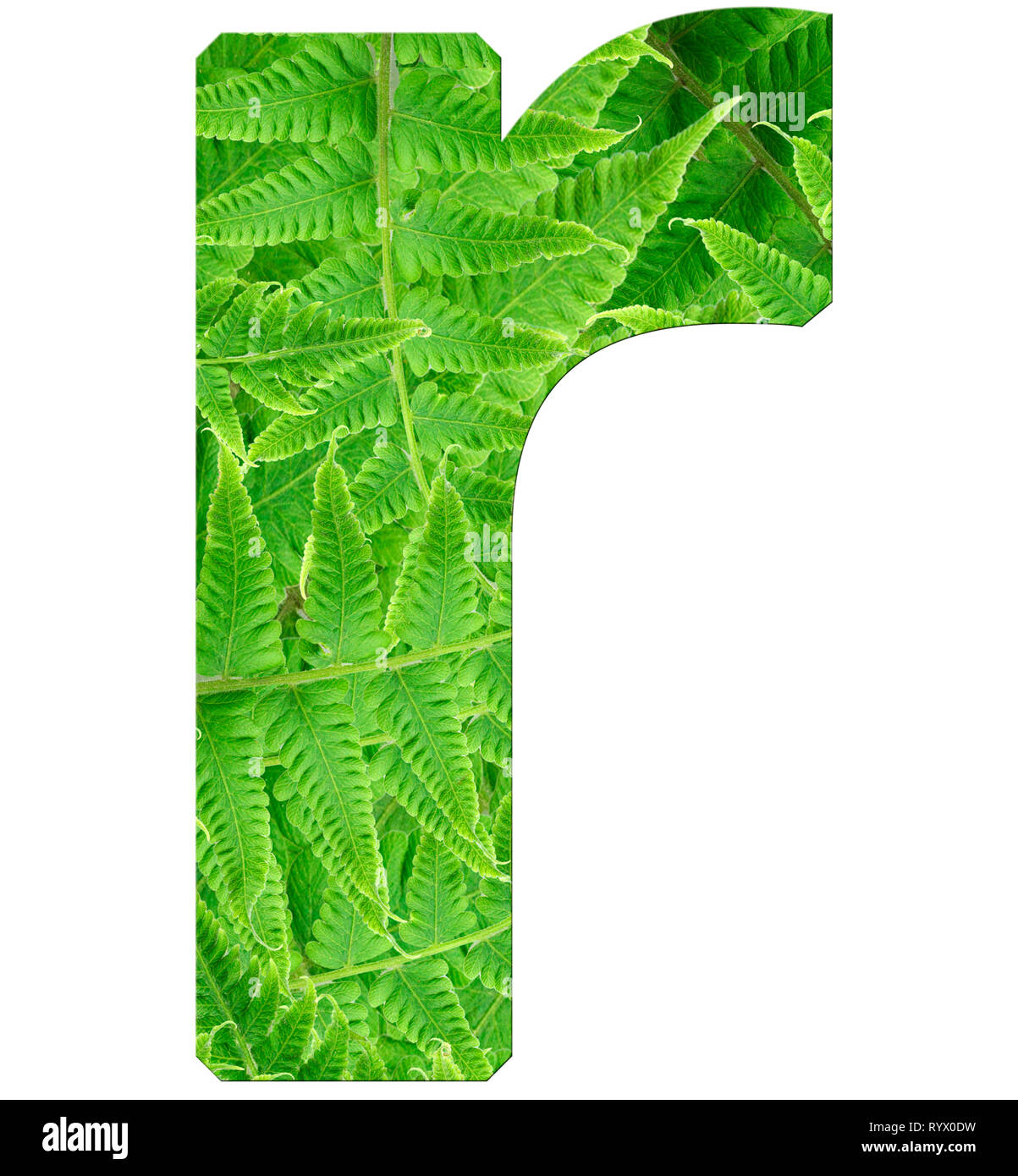 letter r with texture of fern leaves, font Helvetica Word, bold Stock ...