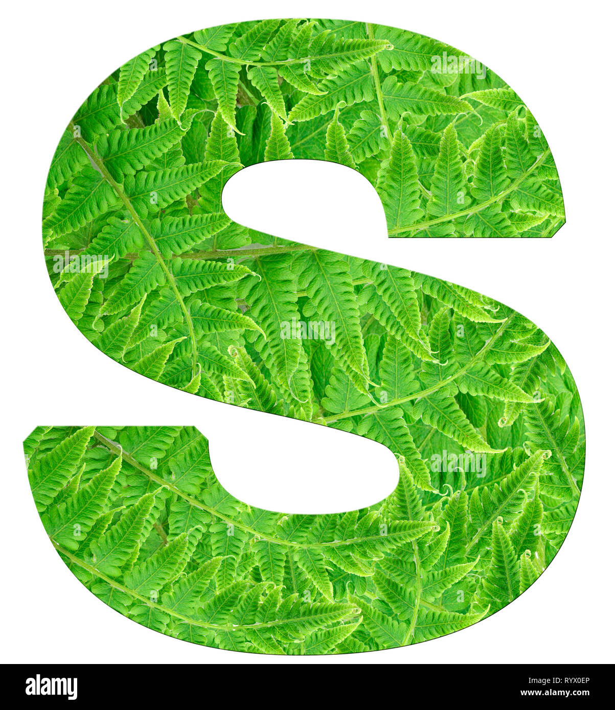 letter s with texture of fern leaves, font Helvetica Word, bold Stock ...