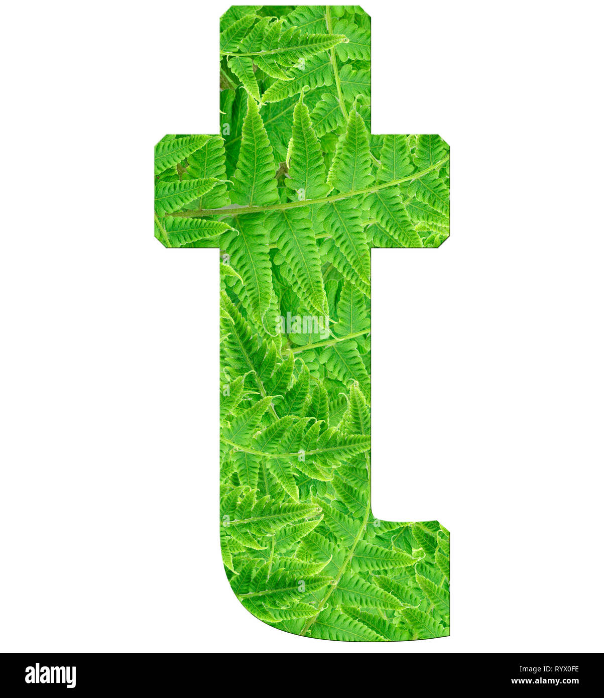 letter t with texture of fern leaves, font Helvetica Word, bold Stock ...