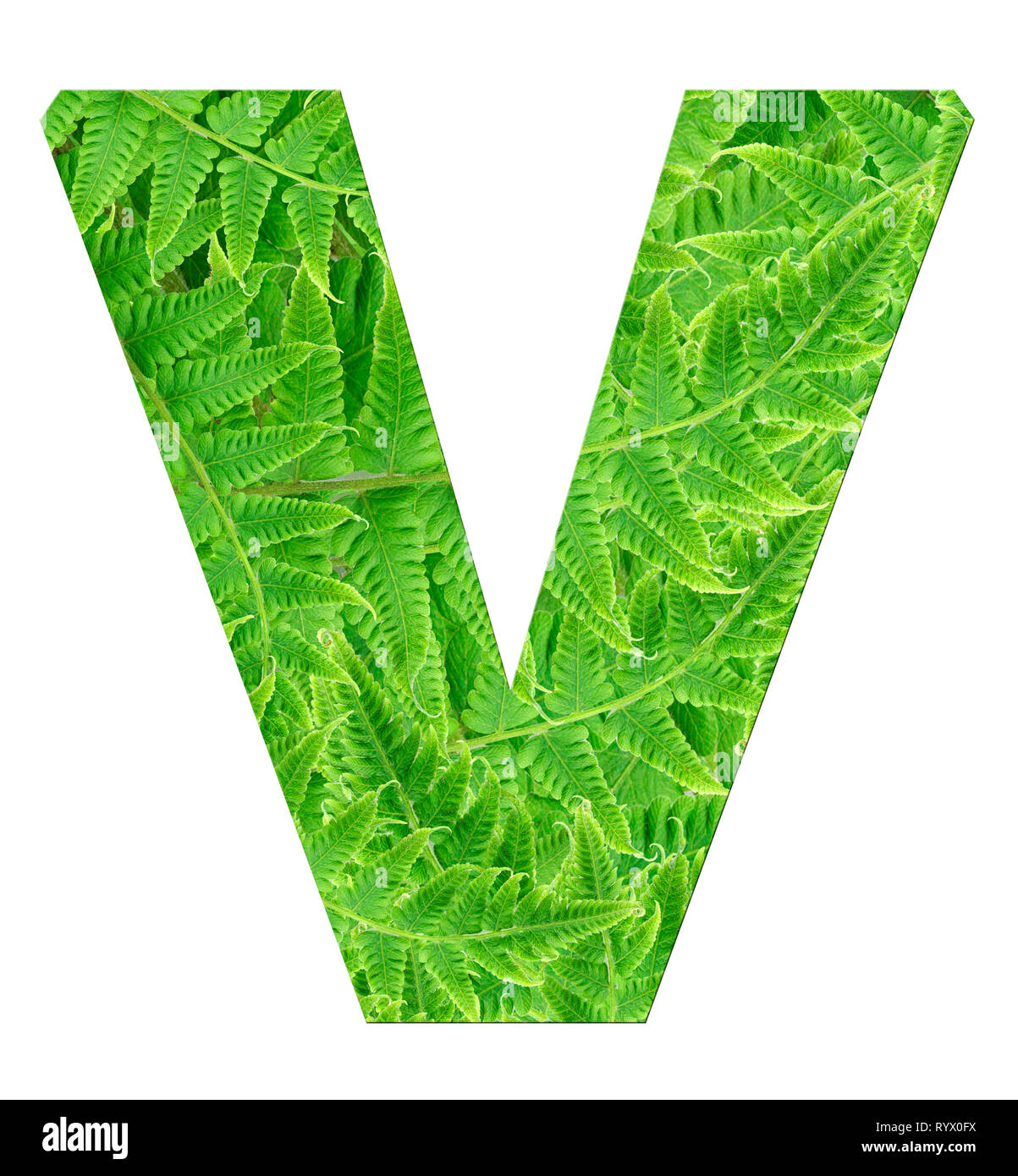 letter v with texture of fern leaves, font Helvetica Word, bold Stock ...