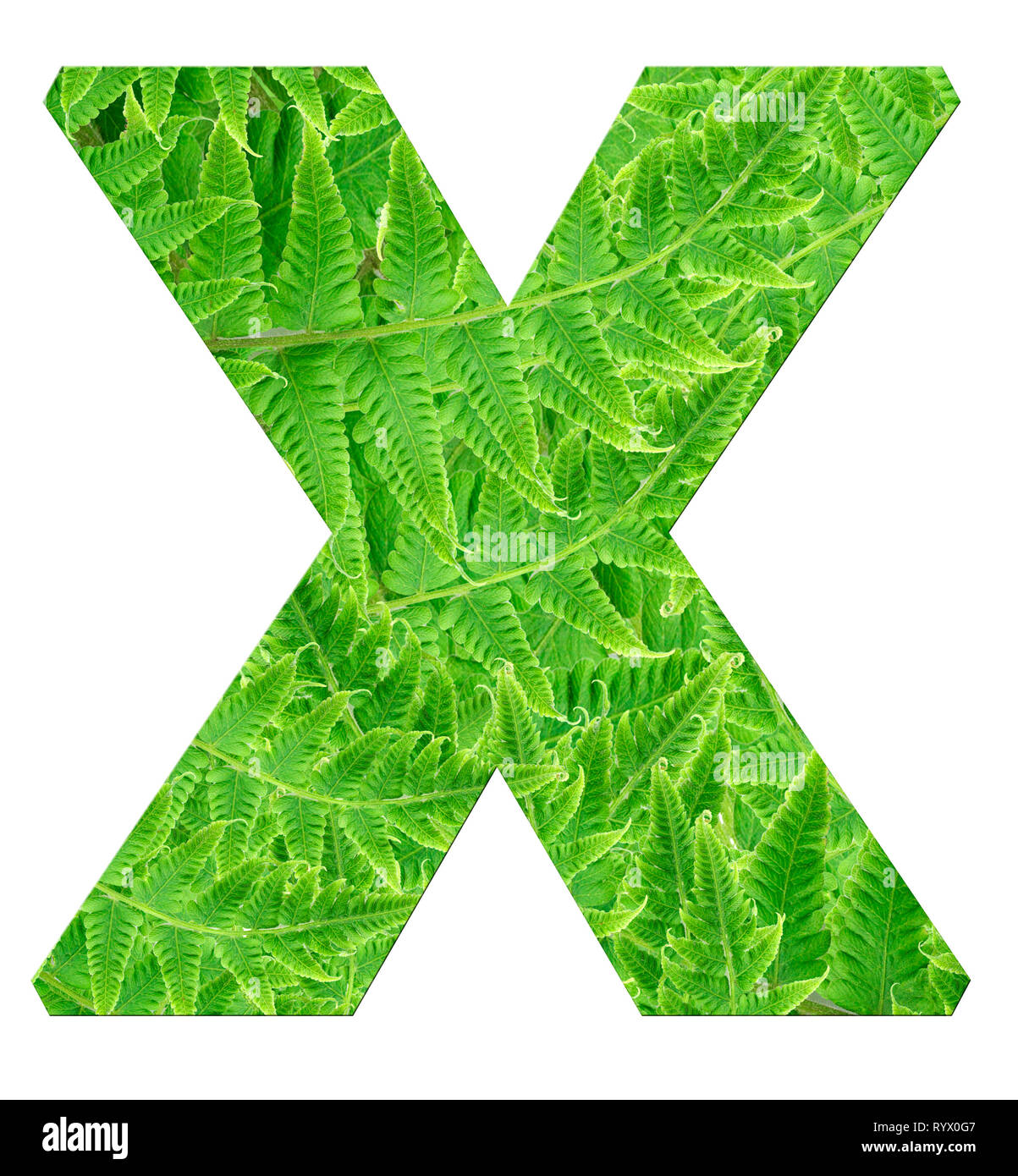 letter x with texture of fern leaves, font Helvetica Word, bold Stock ...