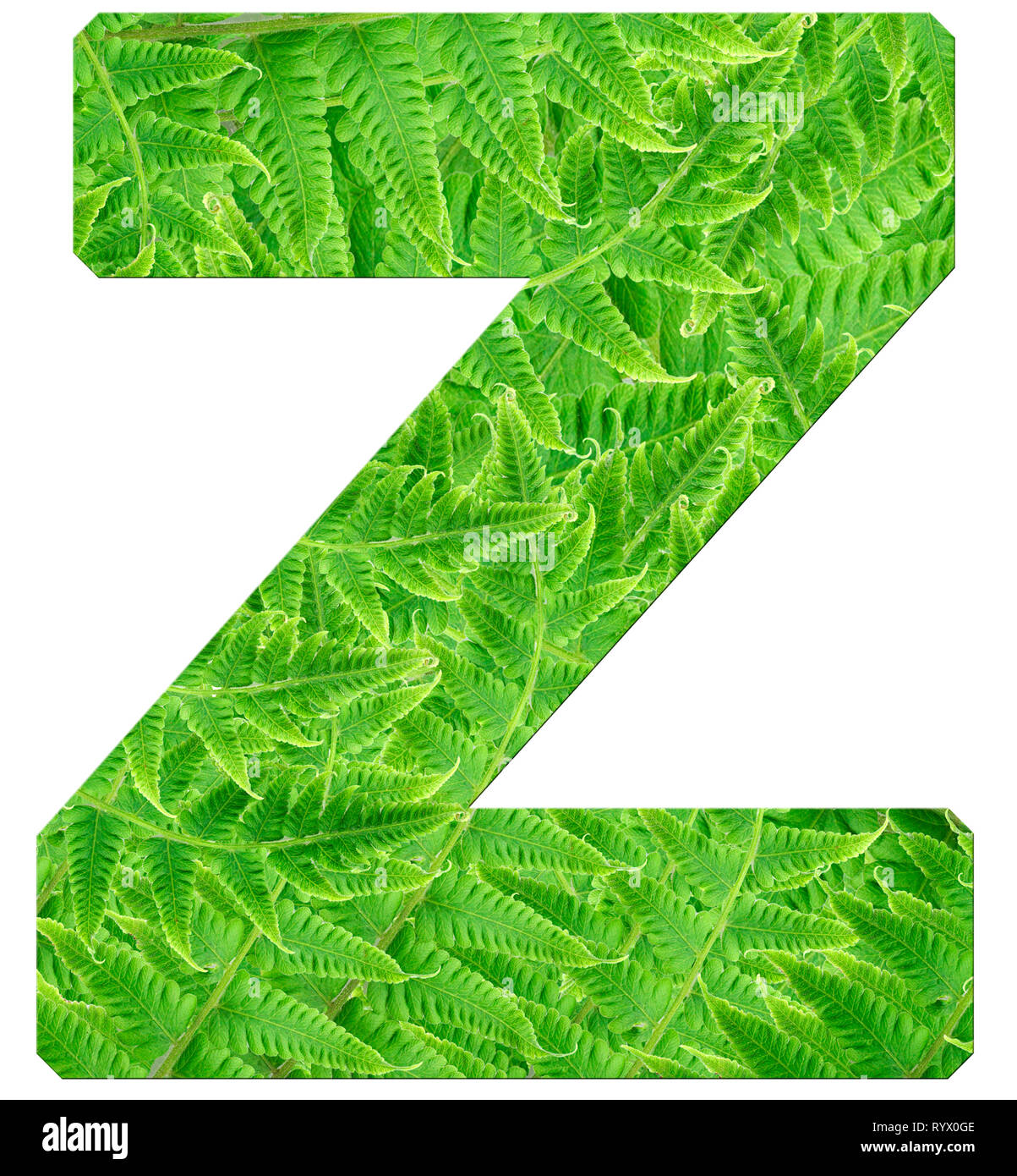 letter z with texture of fern leaves, font Helvetica Word, bold Stock ...