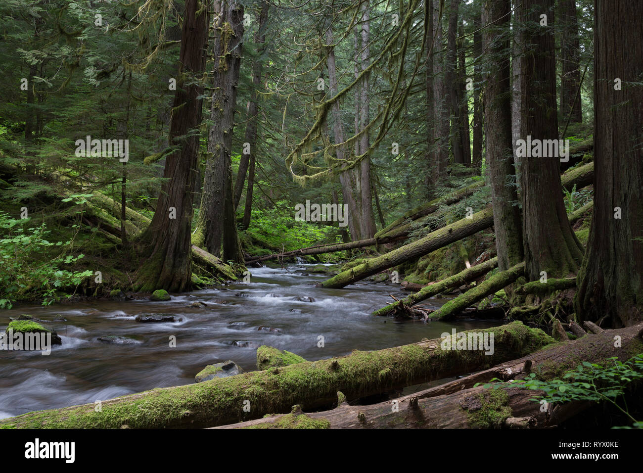Dramatic riverscape hi-res stock photography and images - Alamy