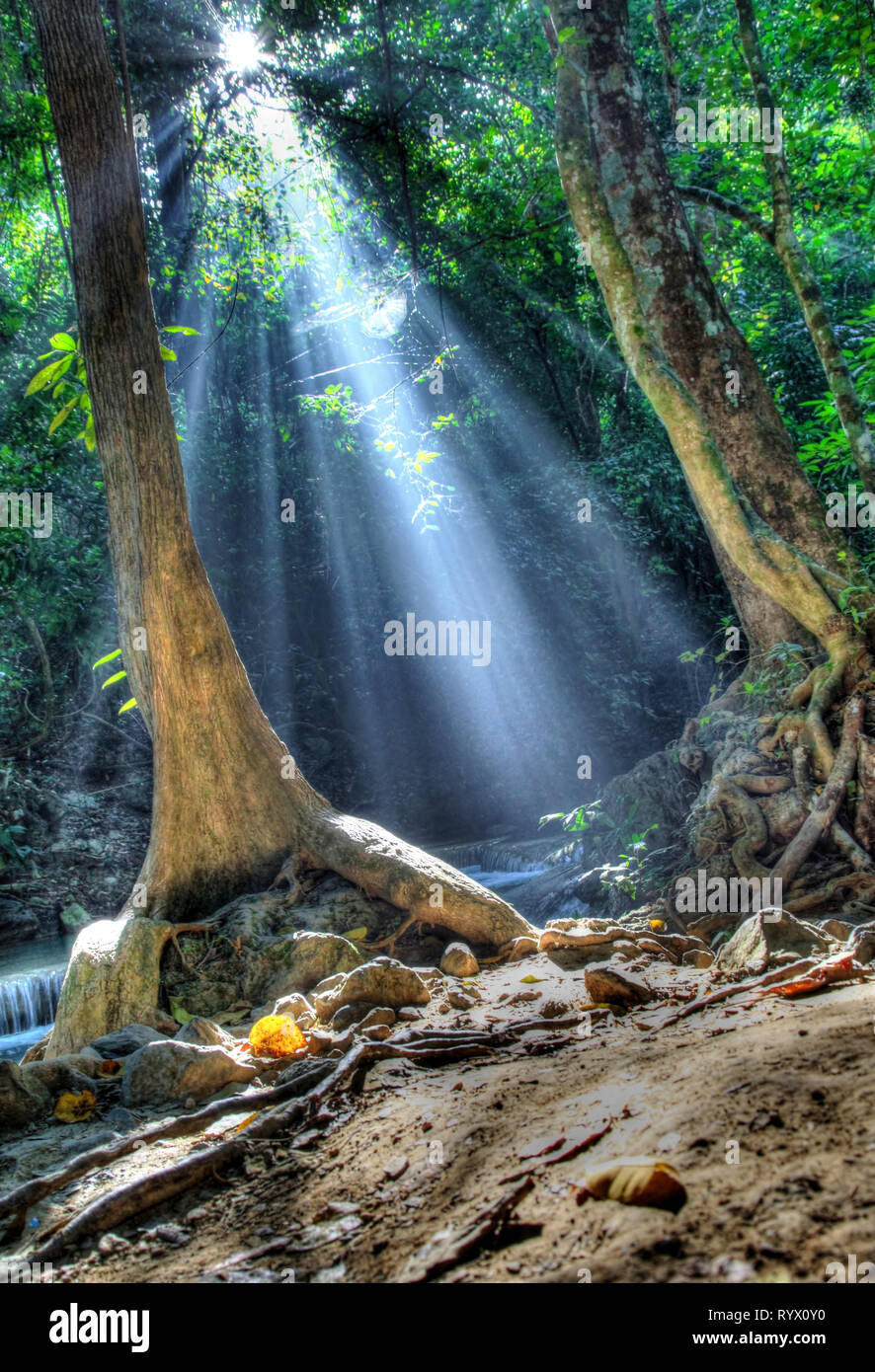 The Erawan National Park in Thailand is always steamy, hot and rich ...