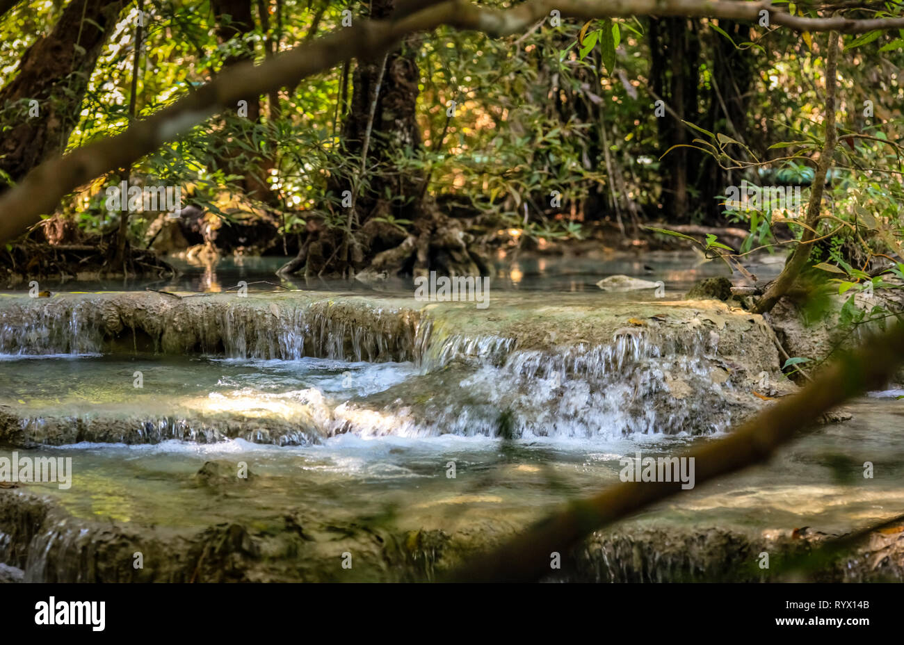 Closeup with two branches on each corner with a series of beautiful ...
