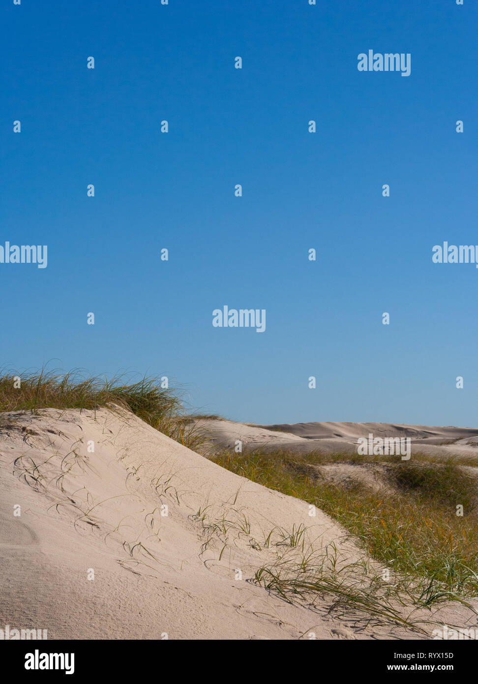 Sand dunes at port stephens hi-res stock photography and images - Alamy