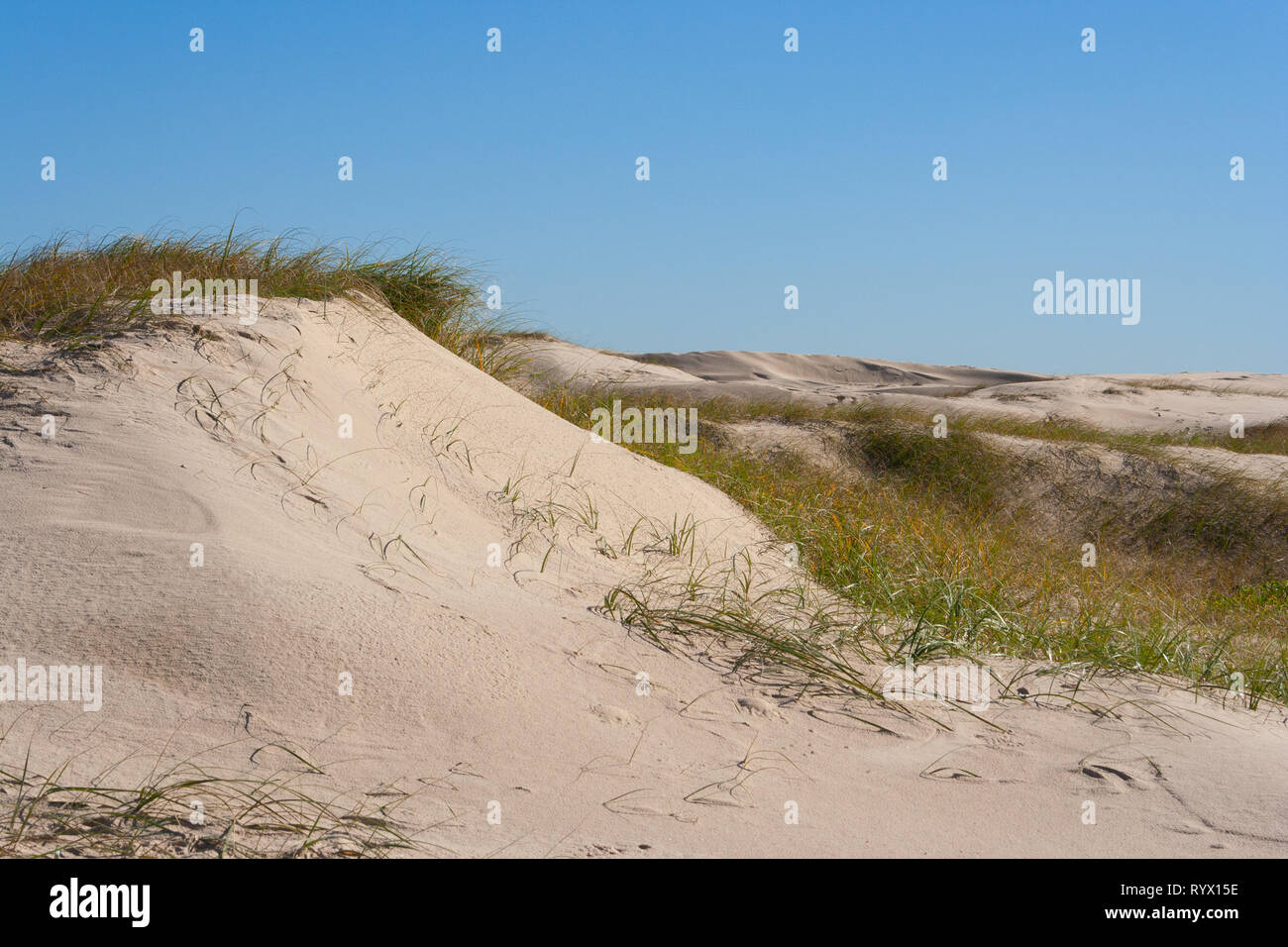 grassy sand dune Stock Photo - Alamy