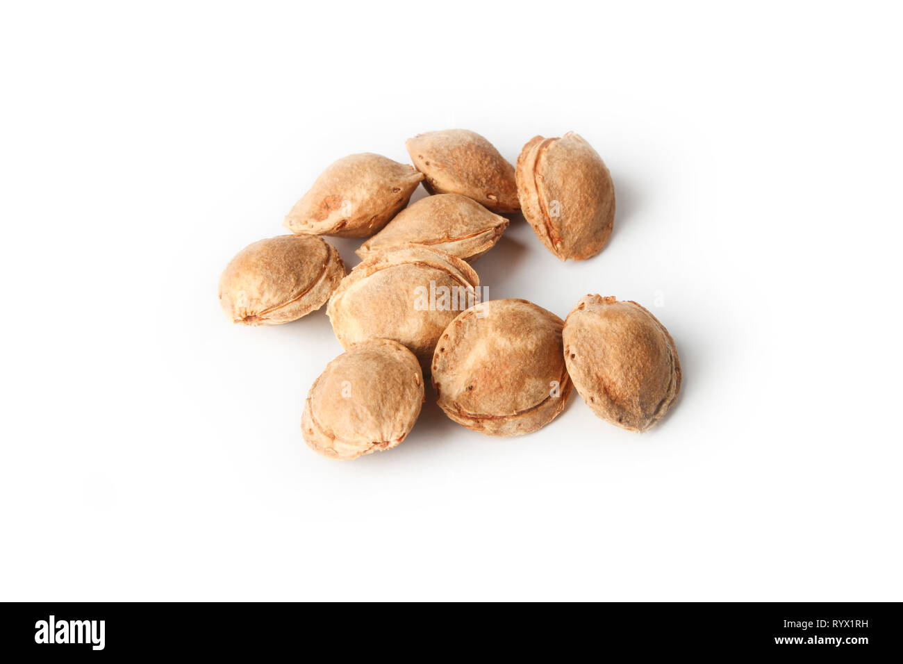 A handful of apricot pits isolated on white Stock Photo - Alamy