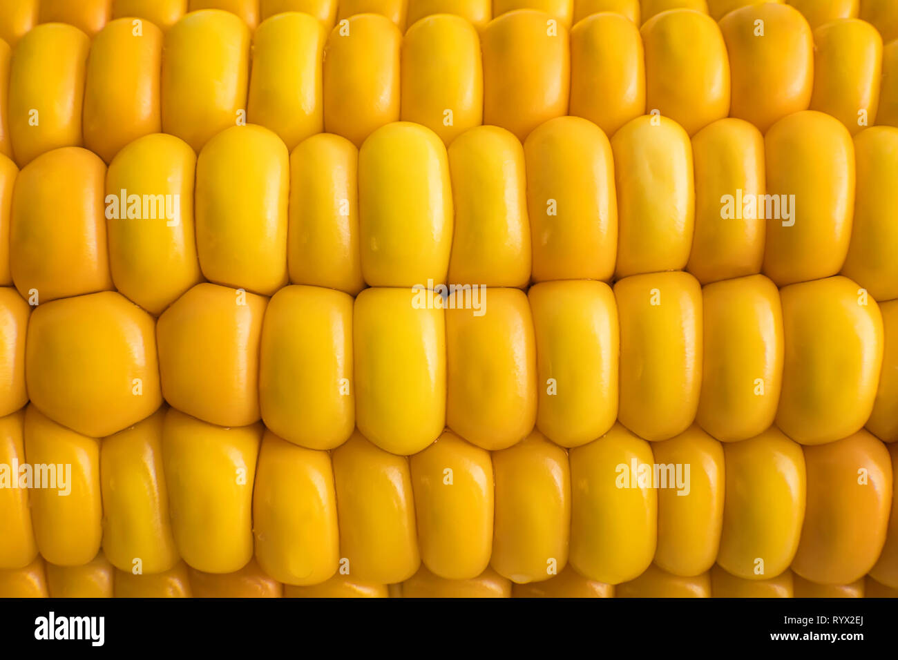 Boiled sweet corn background. Goldish grains texture. Yellowness of ...