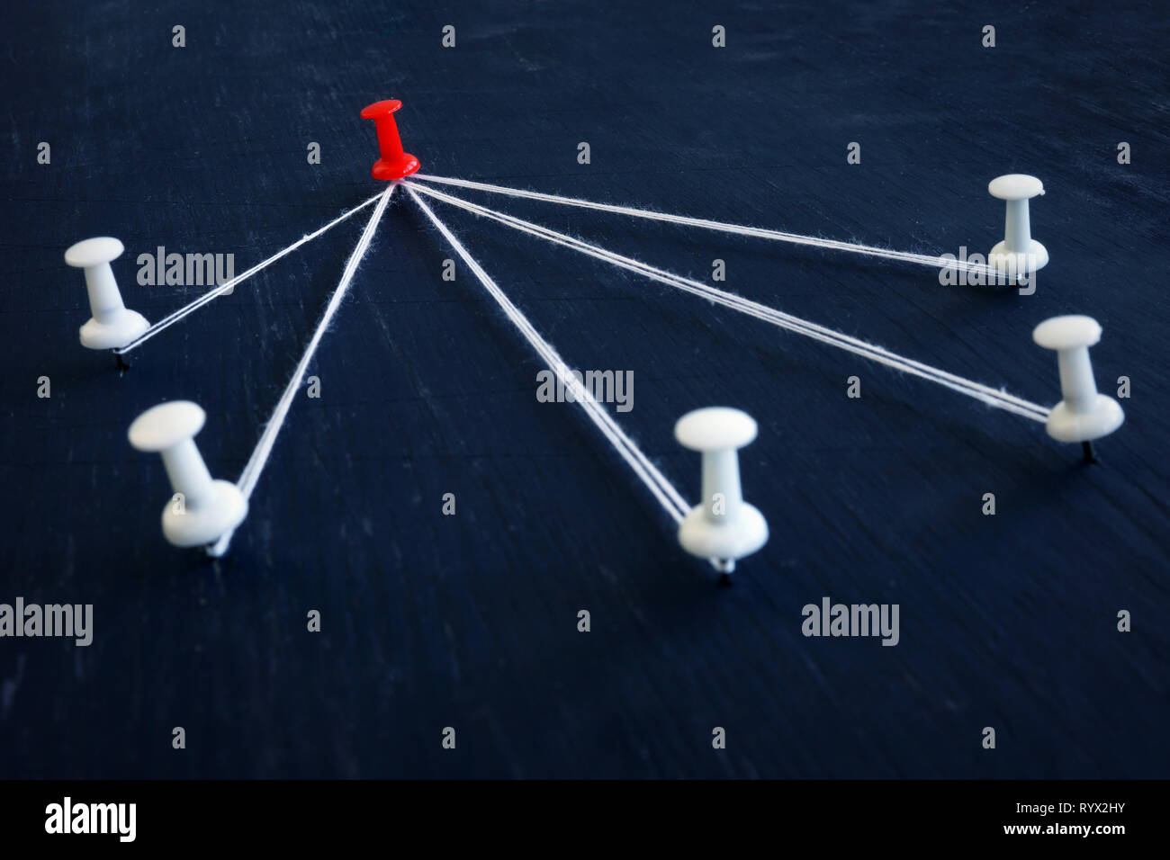 White push pins and red one connected by thread. Leadership, management ...