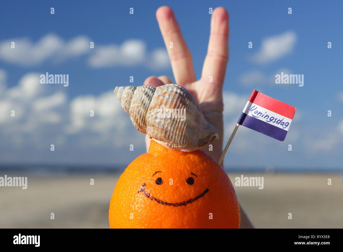 Orange fruit and Netherlands mini flag with text: KONINGSDAG - Kings ...