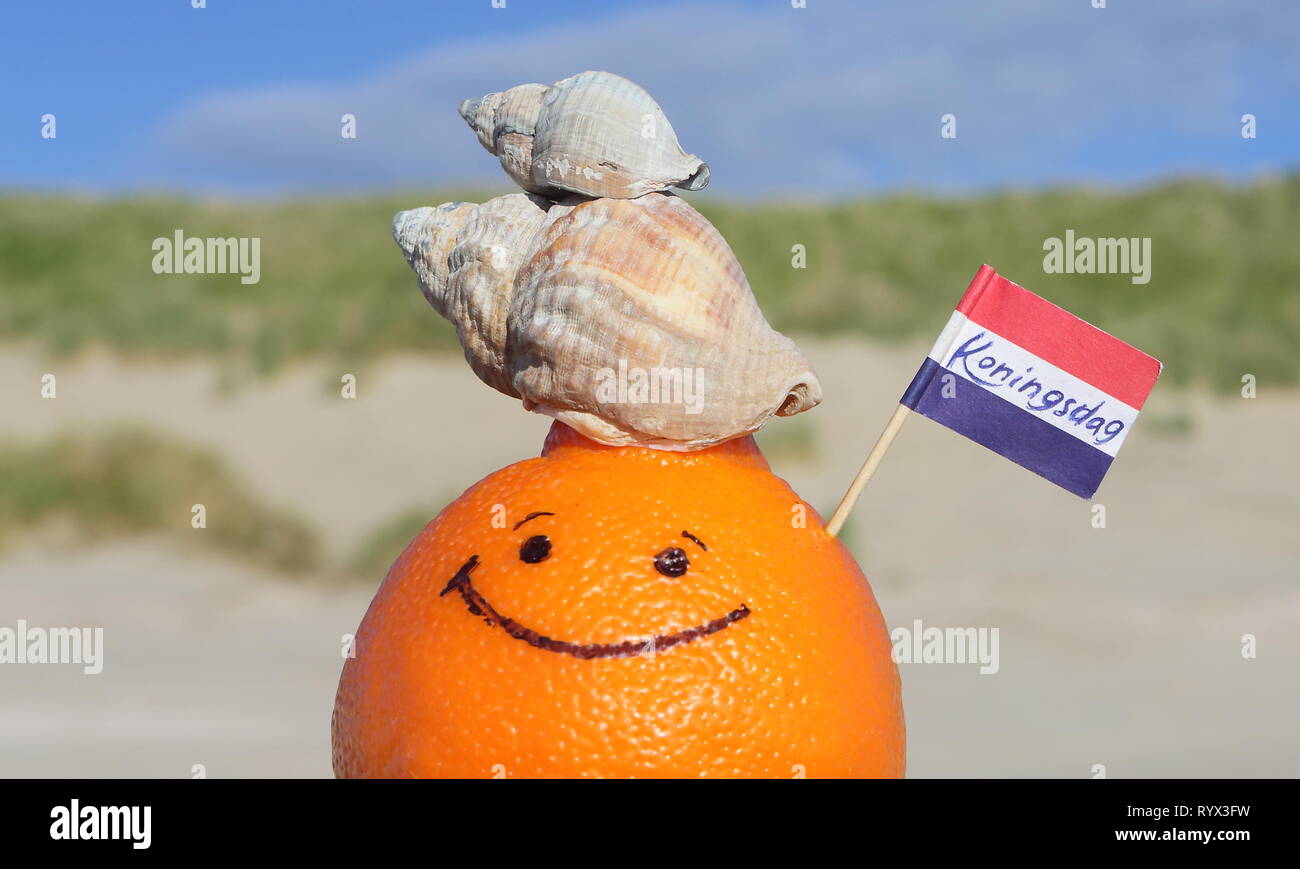 Orange fruit and Netherlands mini flag with text: KONINGSDAG - Kings ...
