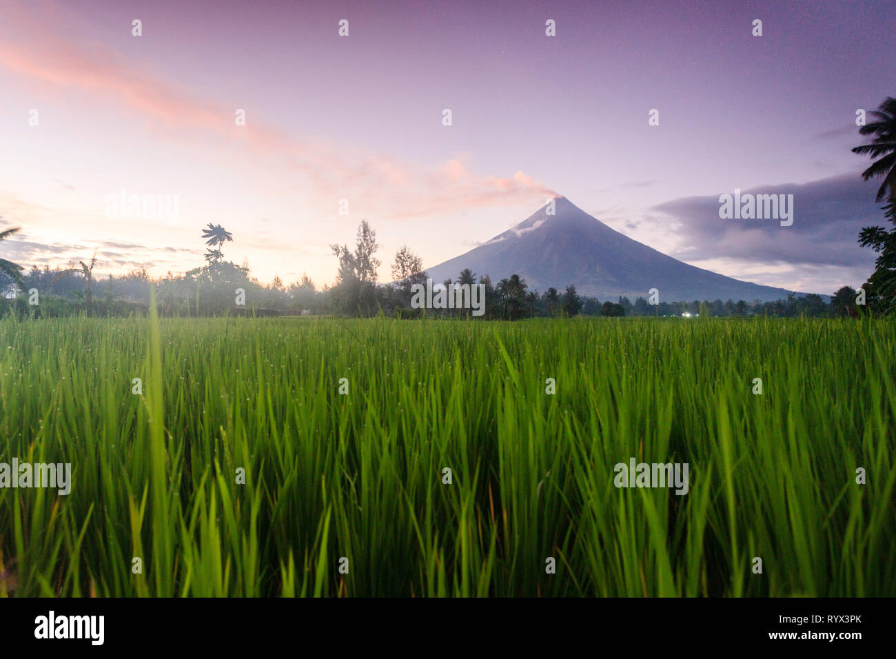 The Mayon Volcano - active volcano rising 2,462 metres, known as the ...