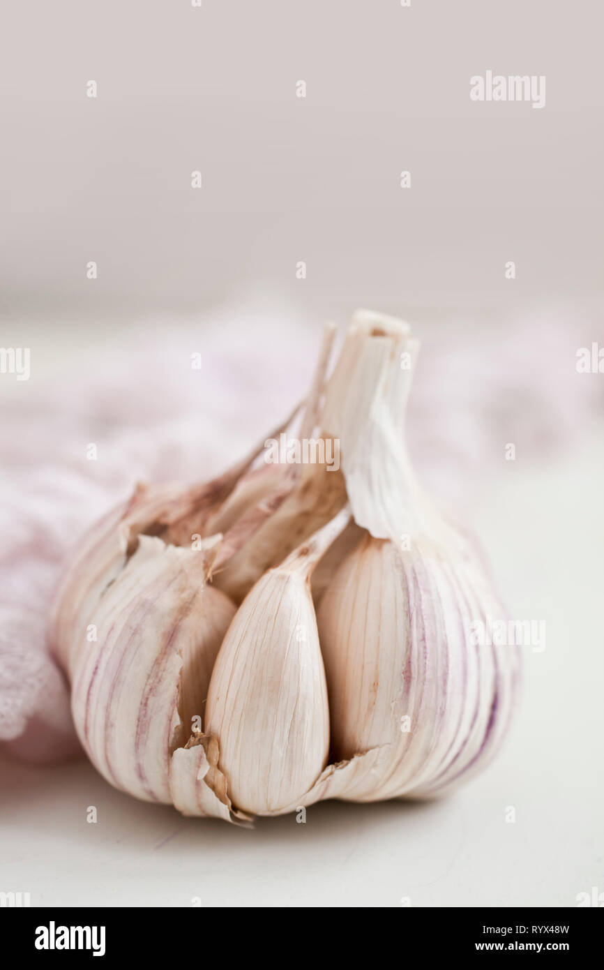 Bulbs of garlic- on bright background Stock Photo - Alamy