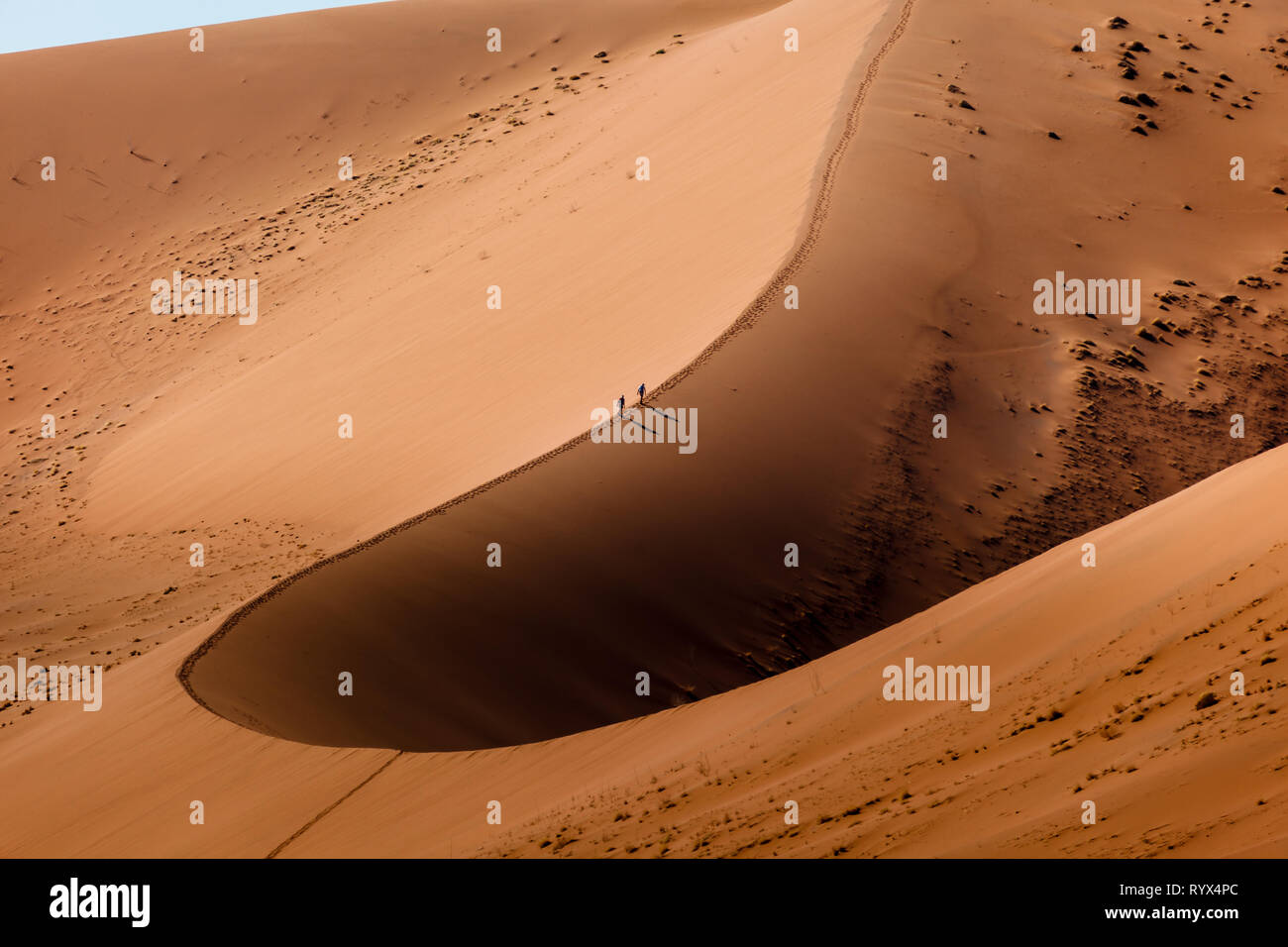 Aerial view of hikers on ridge trail on rim of tall sand dunes curving ...