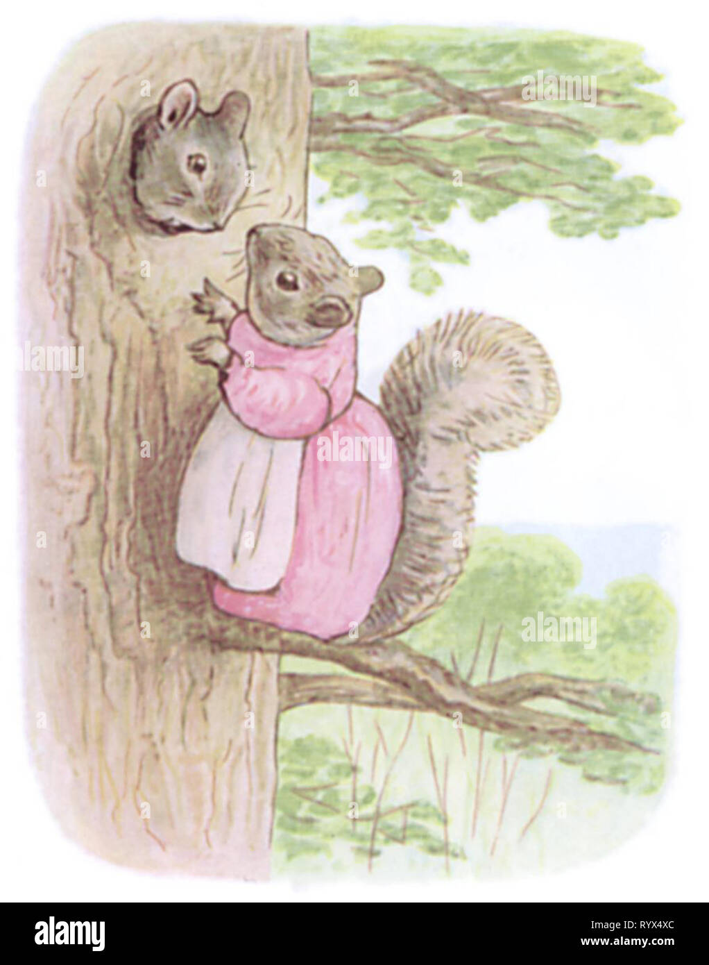 Beatrix Potter Illustration Cut Out Stock Images & Pictures - Alamy