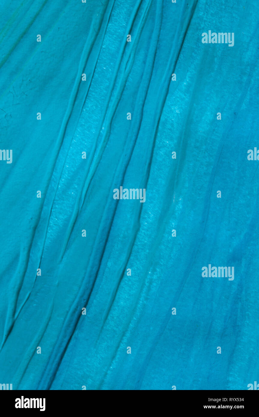 Green Distemper Colors High Resolution Stock Photography and Images - Alamy