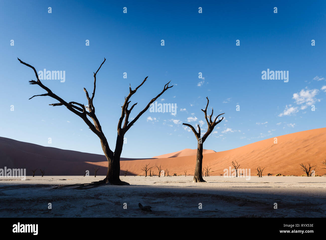 Sossusvlei namibia sunset glow hi-res stock photography and images - Alamy
