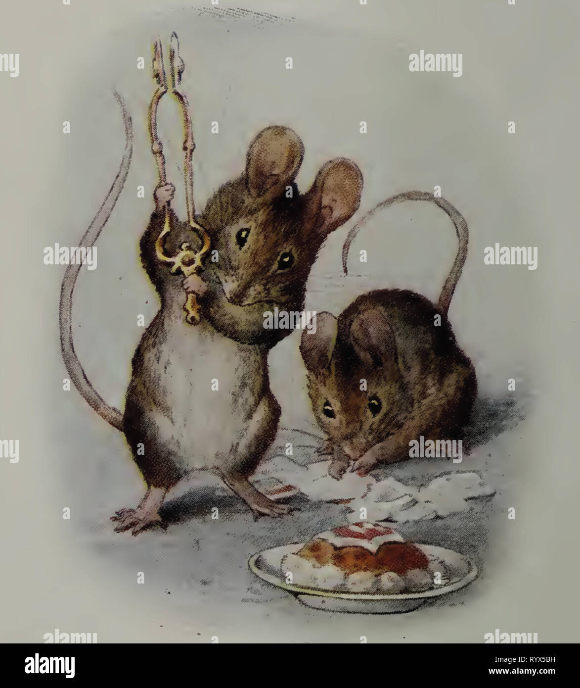 Beatrix Potter Story High Resolution Stock Photography and Images - Alamy