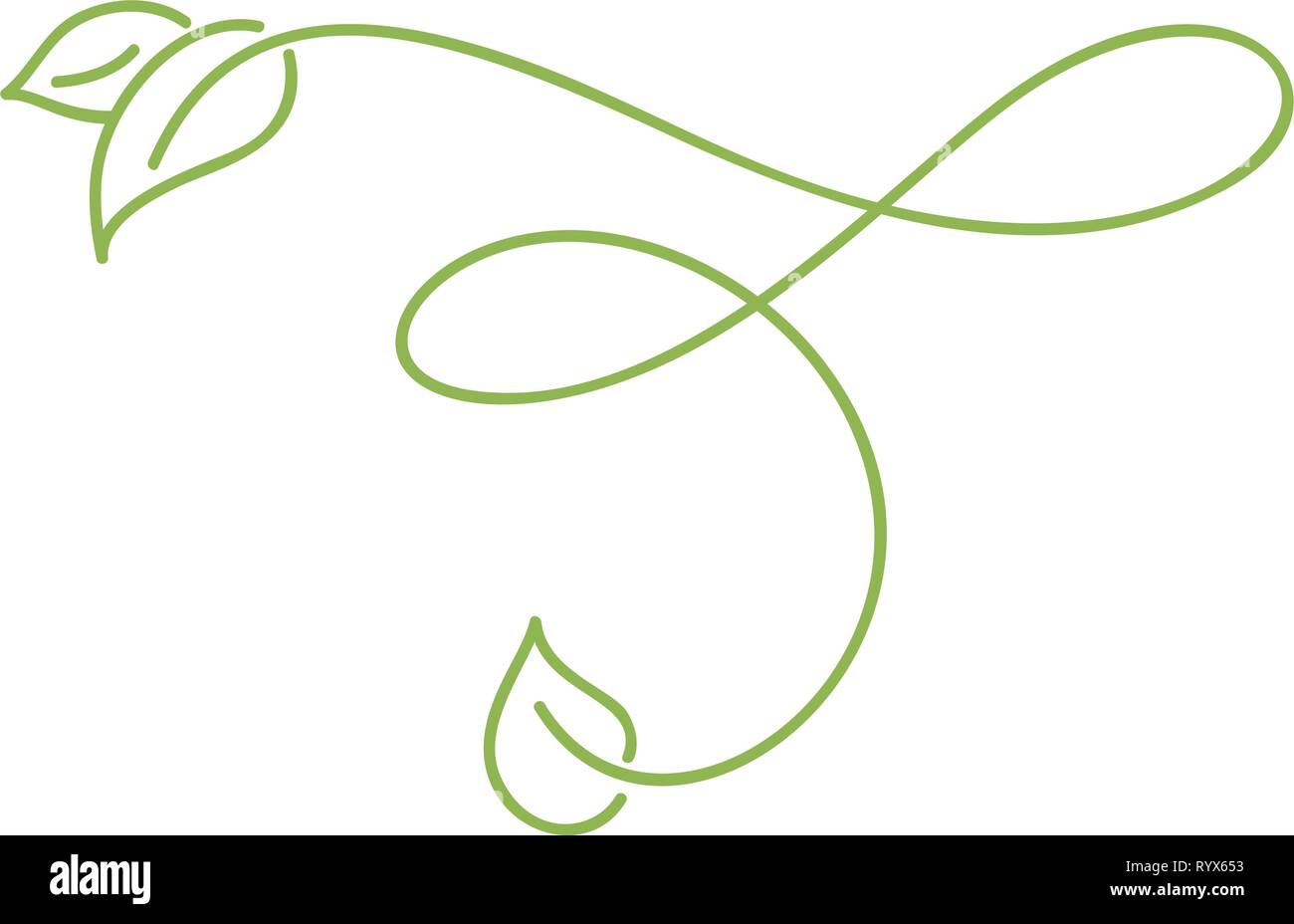 Green monoline calligraphy logo of green leaf ecology vector element ...