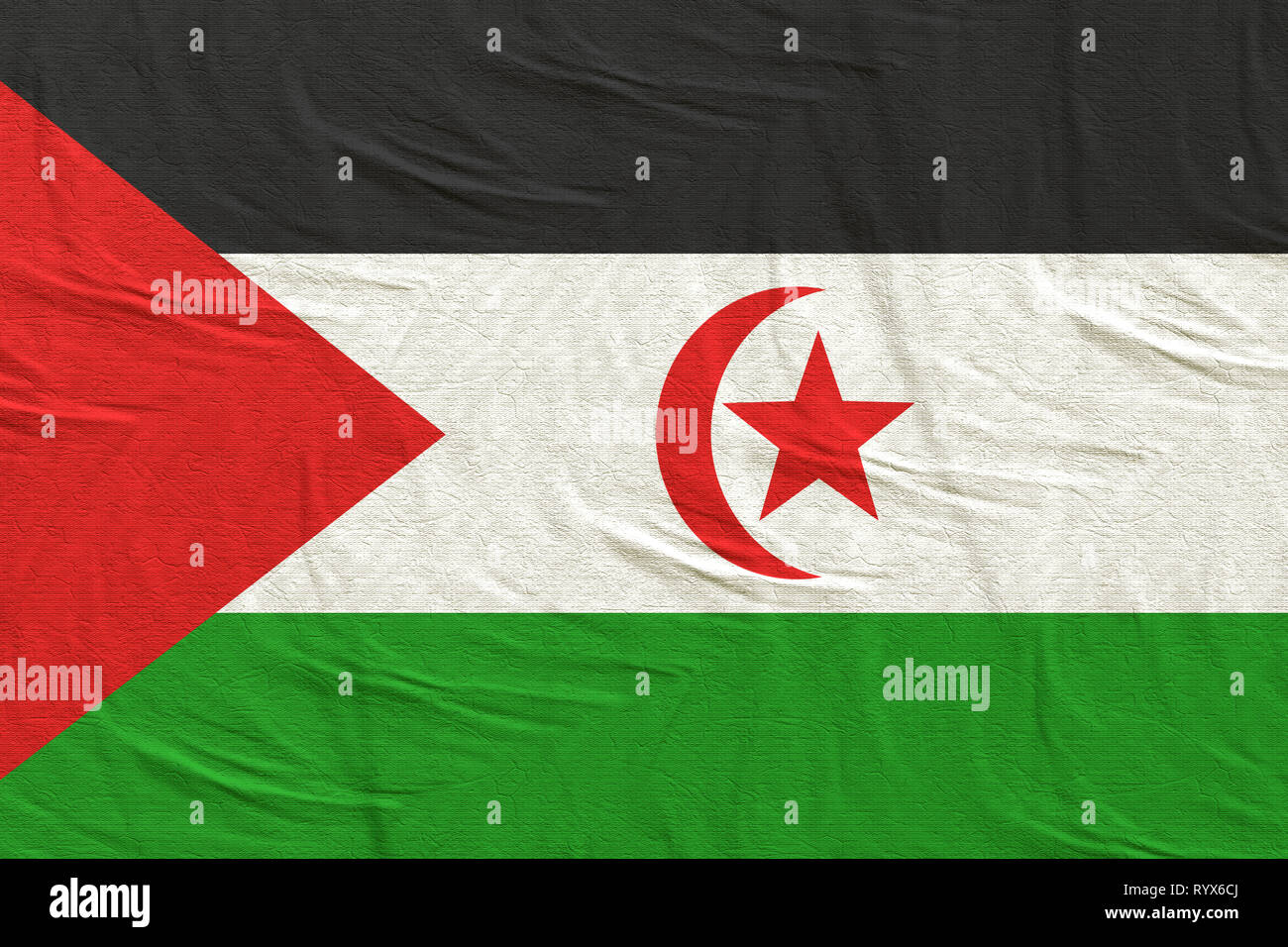 3d rendering of Sahrawi Arab Democratic Republic flag Stock Photo - Alamy
