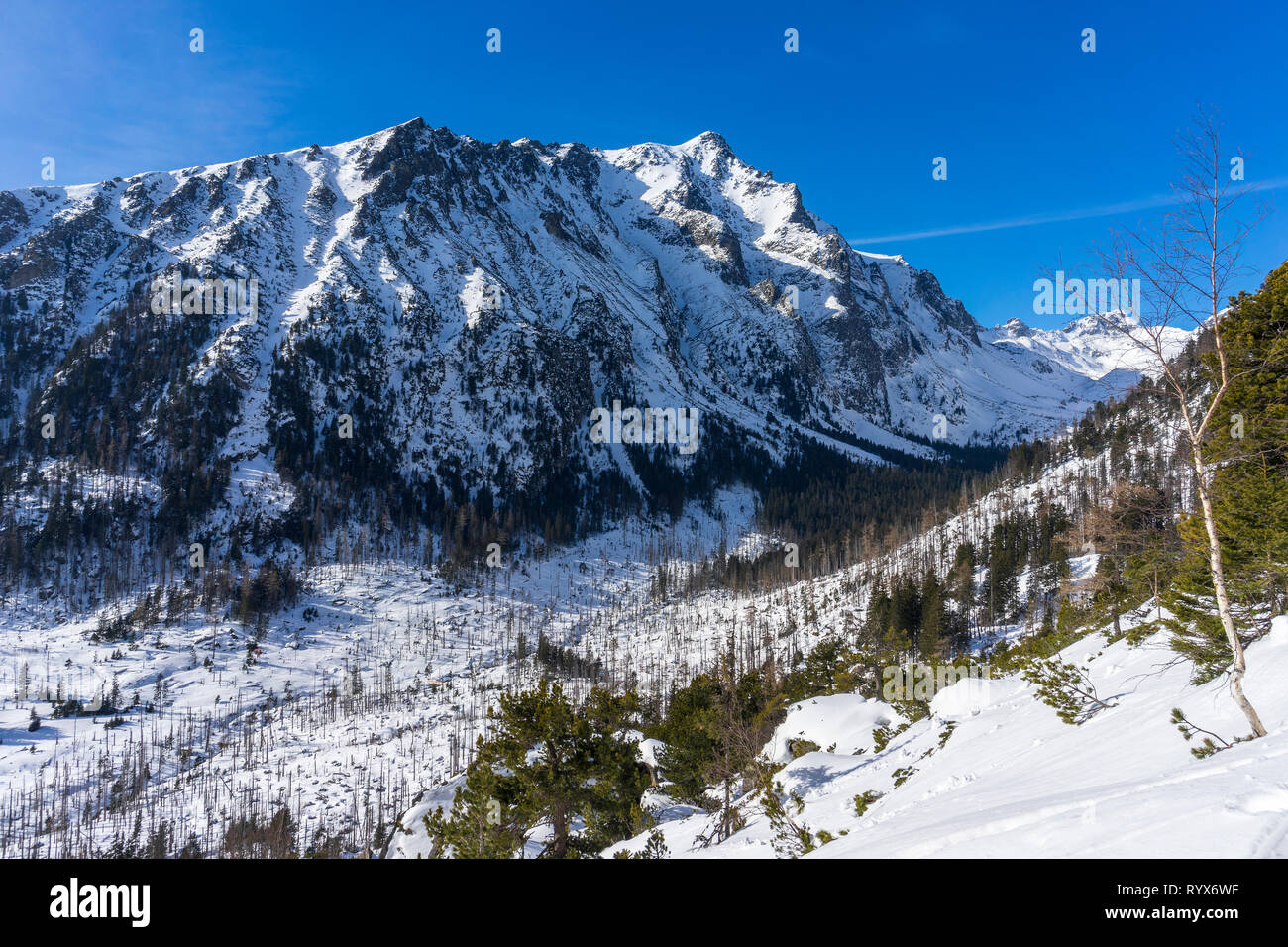 Slavkovsky High Resolution Stock Photography and Images - Alamy