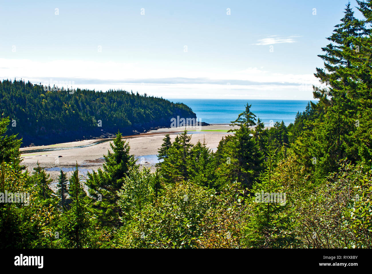 Canada, New Brunswick, Alma, Fundy National Park, Point Wolfe, hiking ...