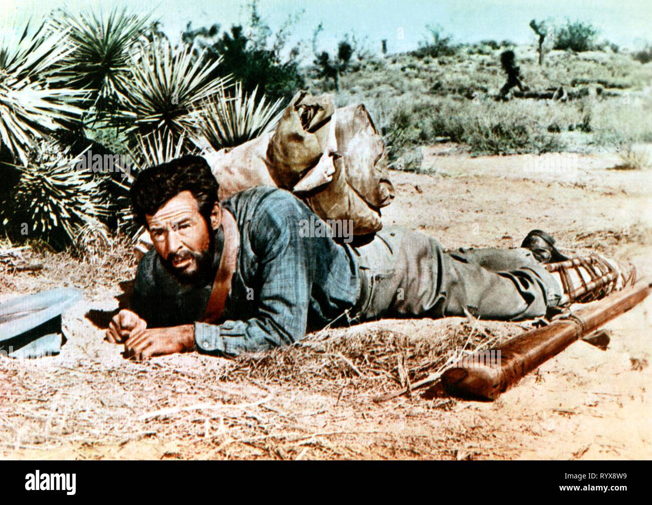 Robert Ryan Movies
