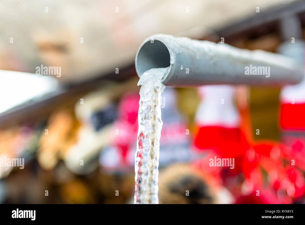 Frozen water flowing from the roof through a plastic pipe with a string ...