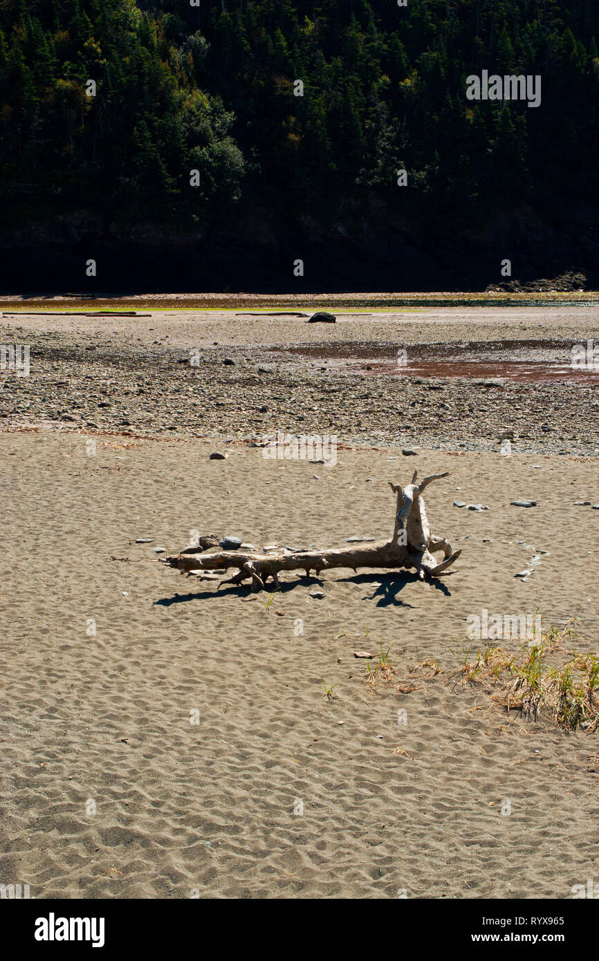 Canada, New Brunswick, Alma, Fundy National Park, Point Wolfe, hiking ...