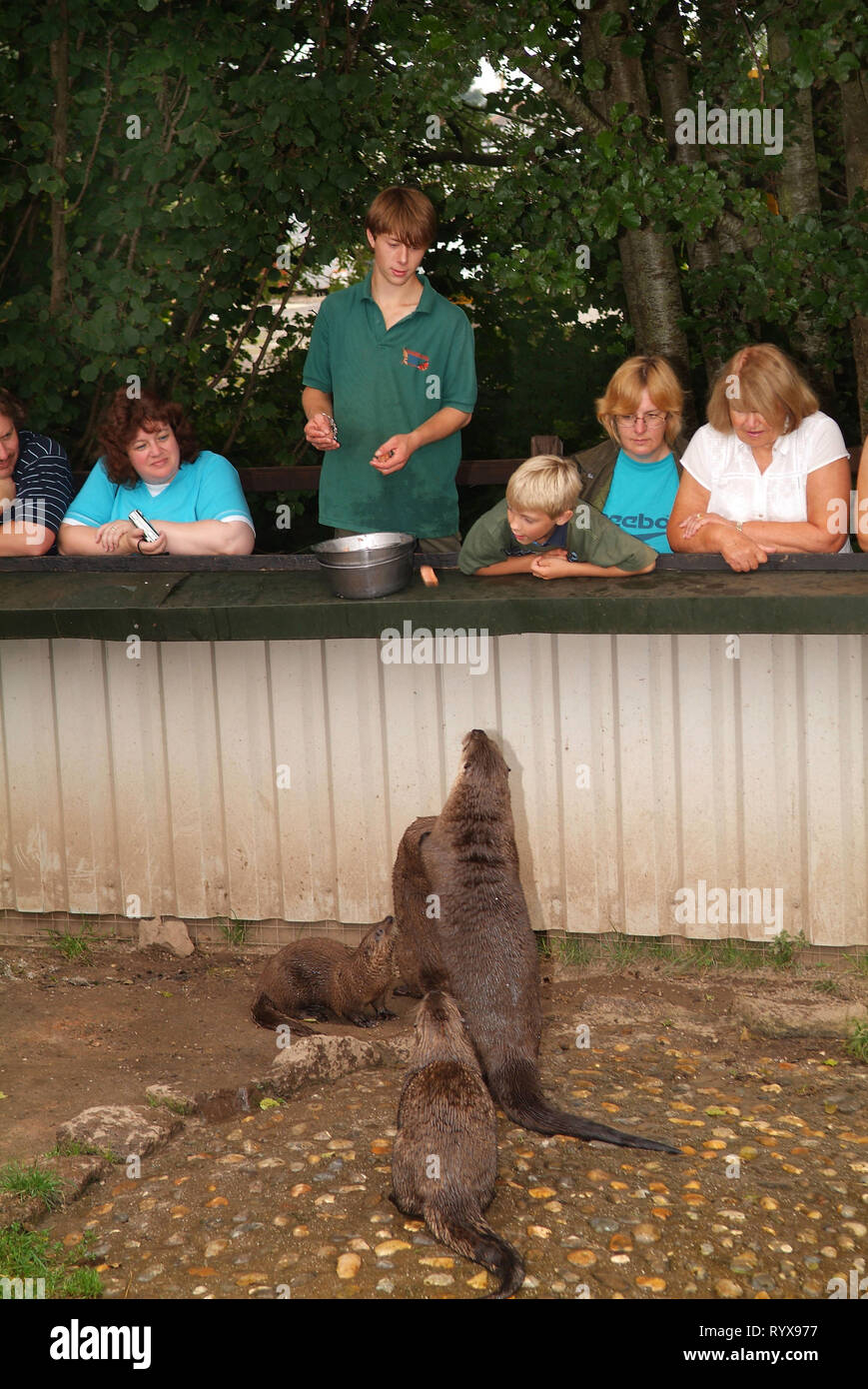 Dartmoor otter sanctuary hi-res stock photography and images - Alamy