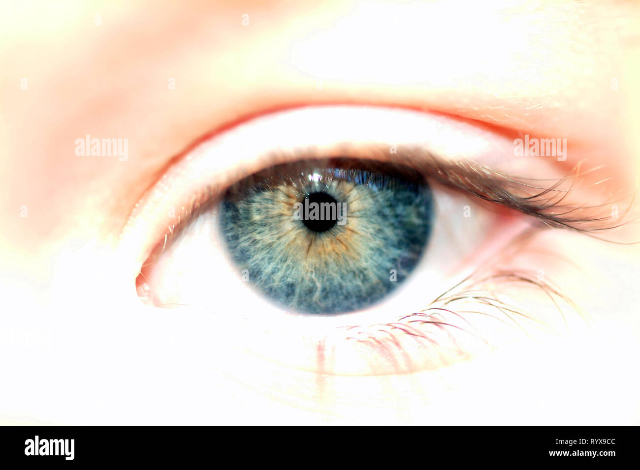 Girls blue eye hi-res stock photography and images - Alamy
