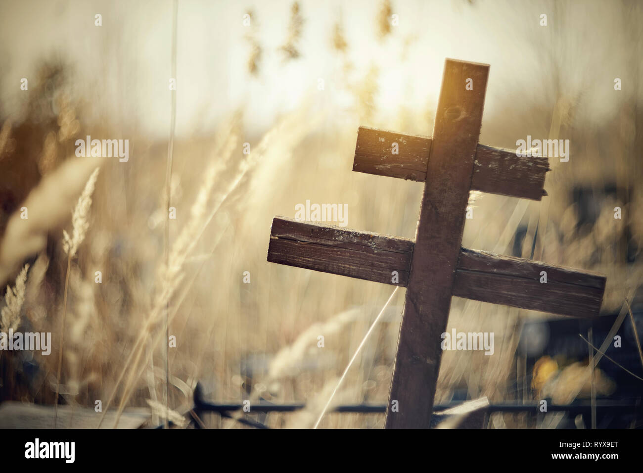 Lop sided hi-res stock photography and images - Alamy